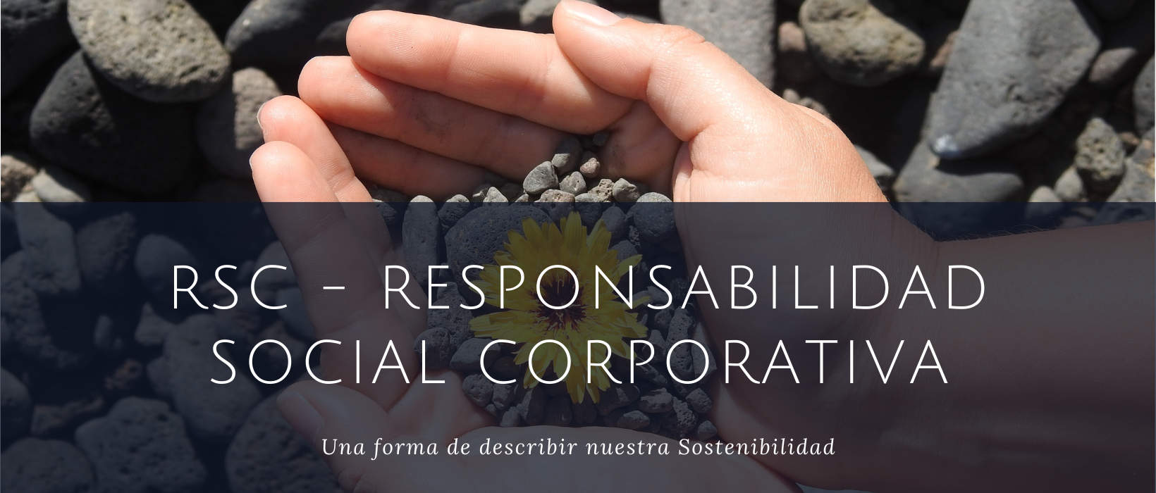 Responsabilidad Social Corporativa - Alterrativa